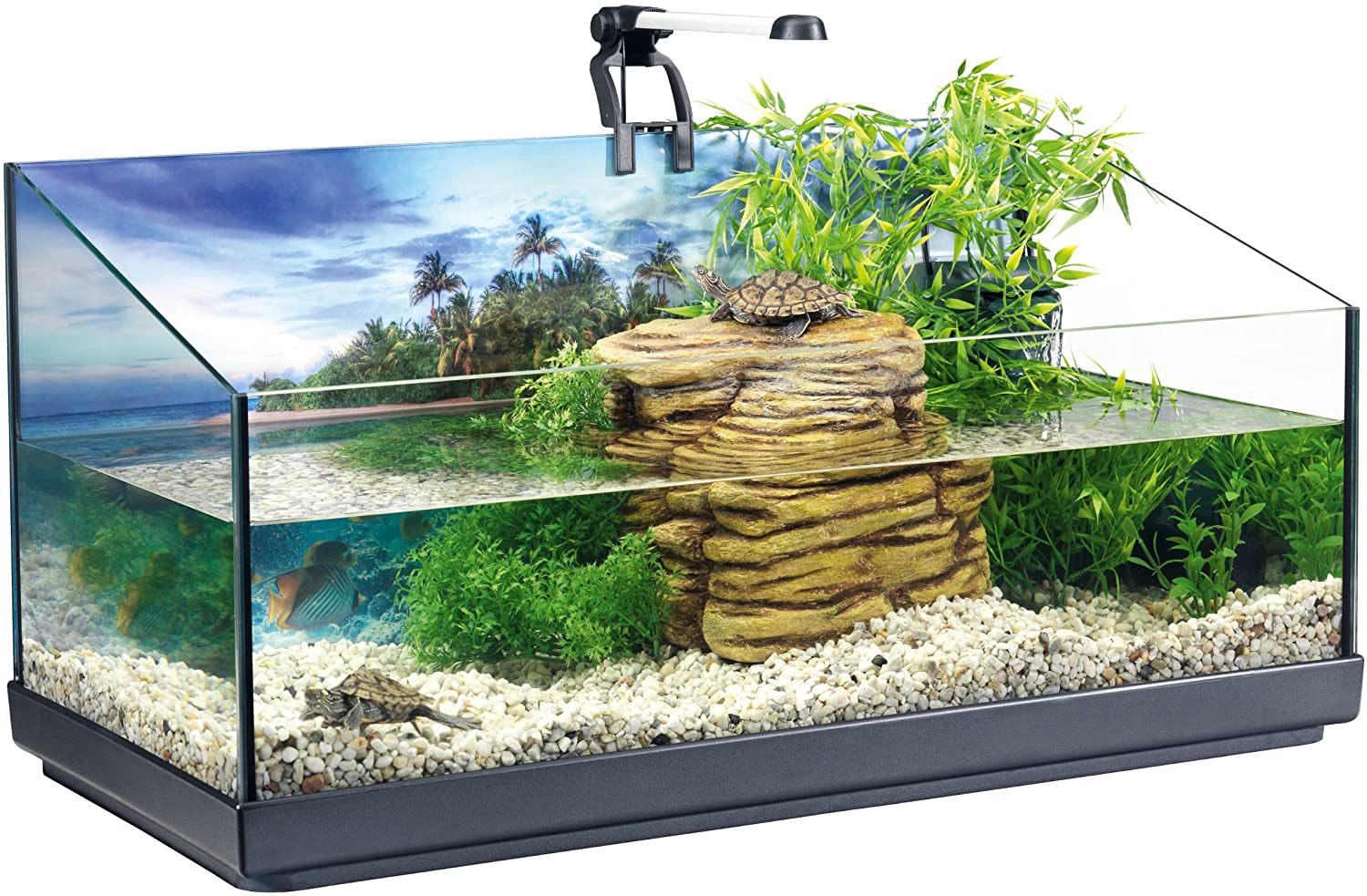 Terrario de madera y cristal para tortugas - Acuáticas y Terrestres