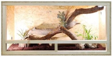 Terrario para reptiles y animales exóticos - Serpientes, lagartos, tortugas